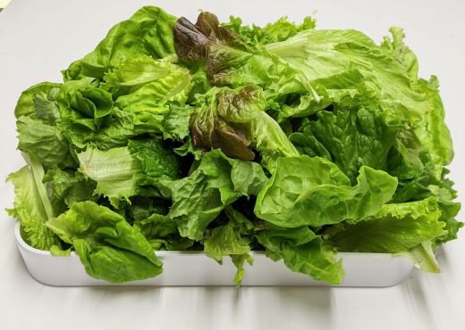picture of Triple Mix Lettuce 1/2lb
